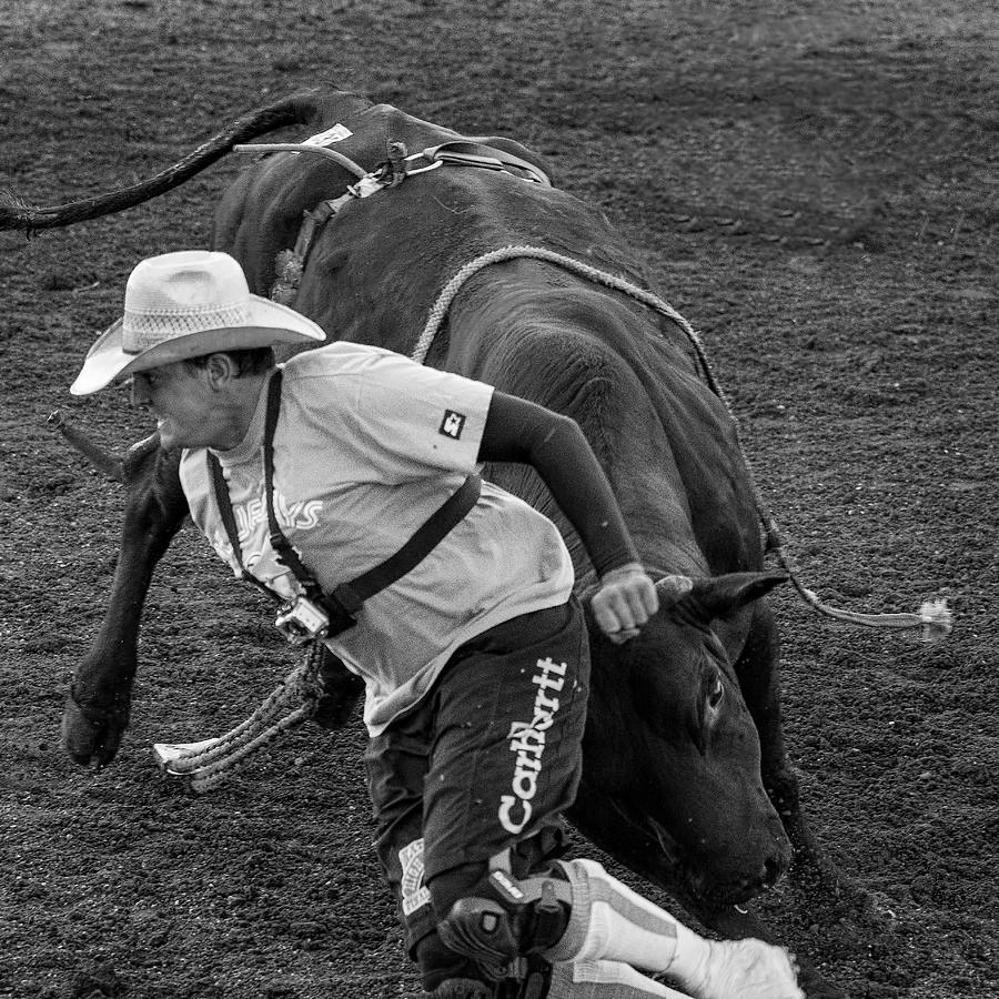 Dodging the Hit Photograph by Marlene Andrew - Fine Art America