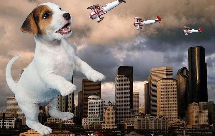 Dogzilla Photograph
