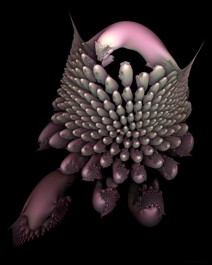 Dolde III Digital Art by Bramvan - Fine Art America