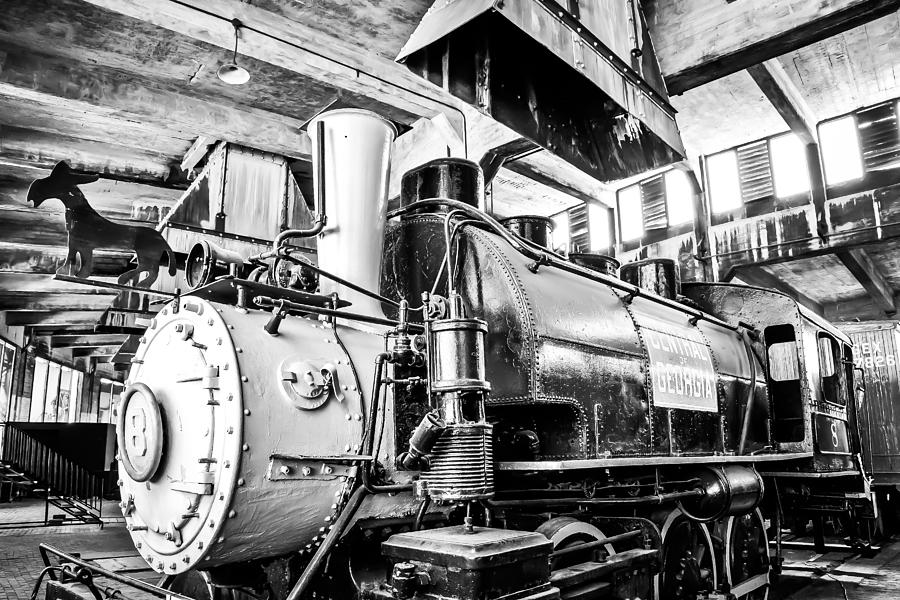 Donkey Train Photograph by William Krumpelman - Fine Art America