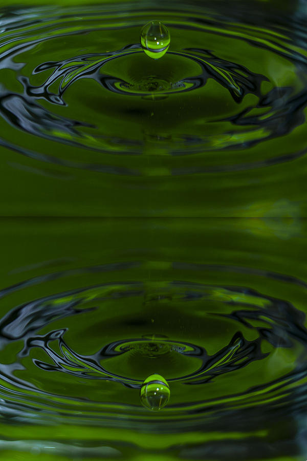 Double Drip Photograph by Cj Avery - Fine Art America