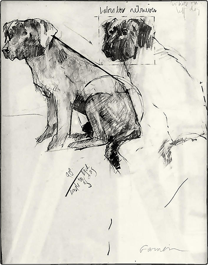 Double Labradors Drawing by Patrick Garner - Fine Art America