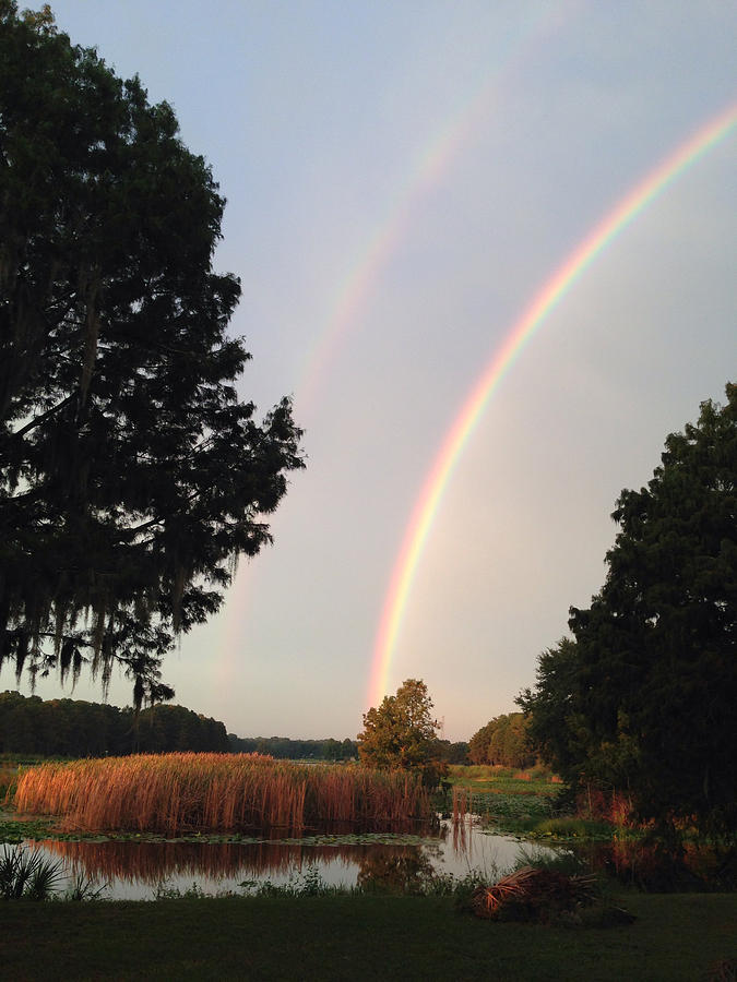 Double Rainbow Photograph by Eric Hurwitz - Pixels