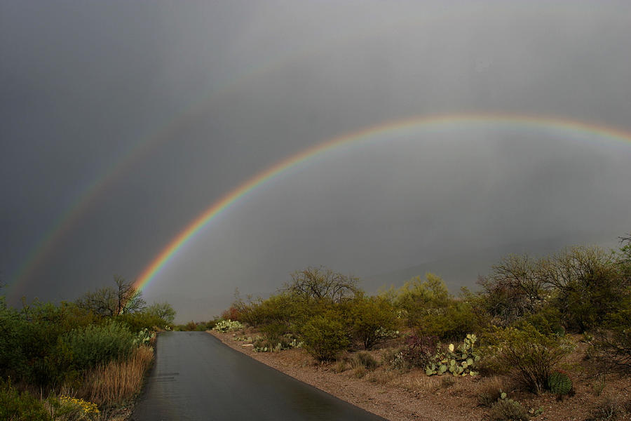 Double rainbow Photograph by Eric Joyce - Fine Art America