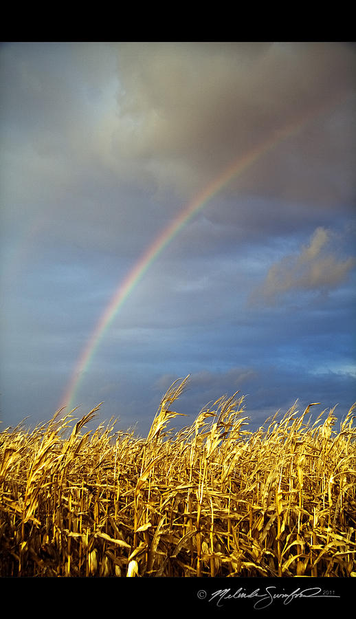 Double rainbow over corn field Photograph by Melinda Swinford - Fine ...