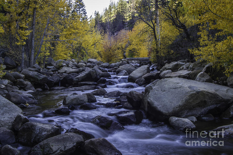 Down River Photograph by Mitch Shindelbower - Fine Art America