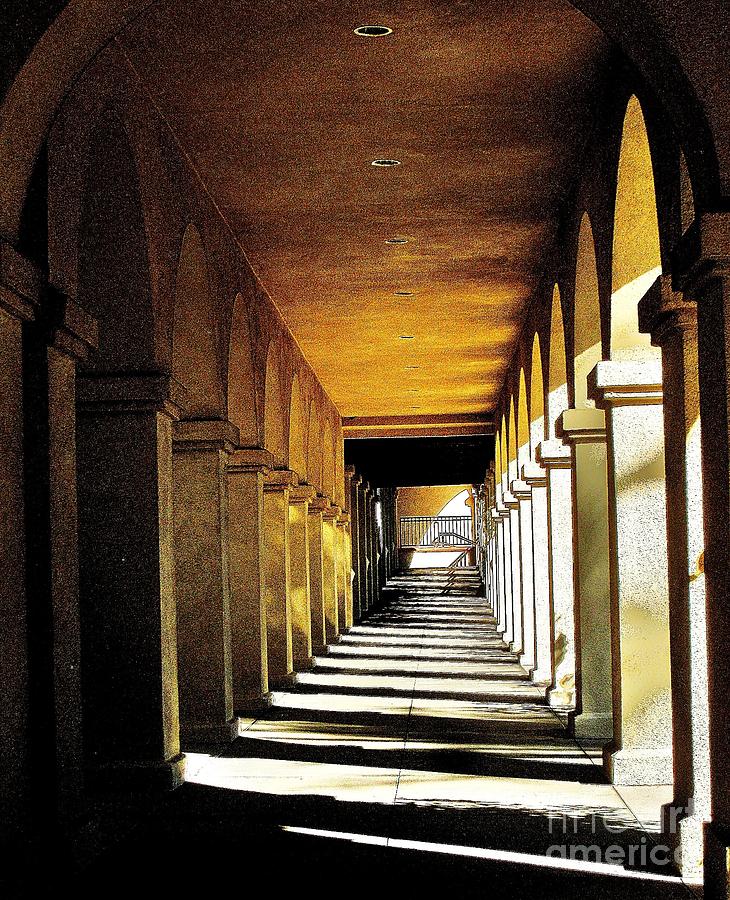 Down There Photograph by John King I I I - Fine Art America