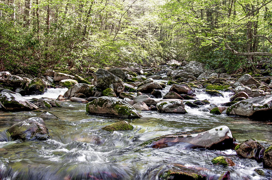 Downhill Stream Photograph by Wayne Anders - Fine Art America