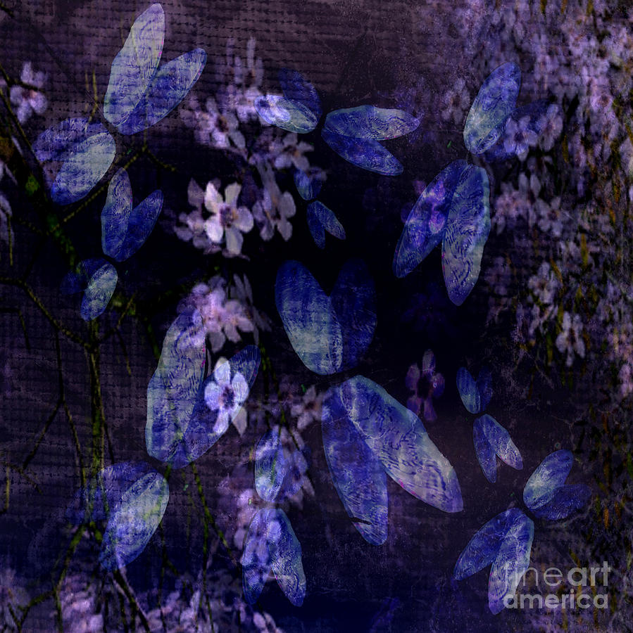 Dragonfly Texture Magic Photograph by Eva Thomas - Pixels