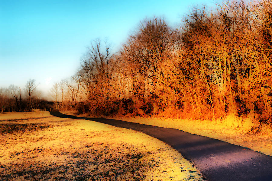 Dreamy Pathway Photograph by Thomas MacPherson Jr | Pixels