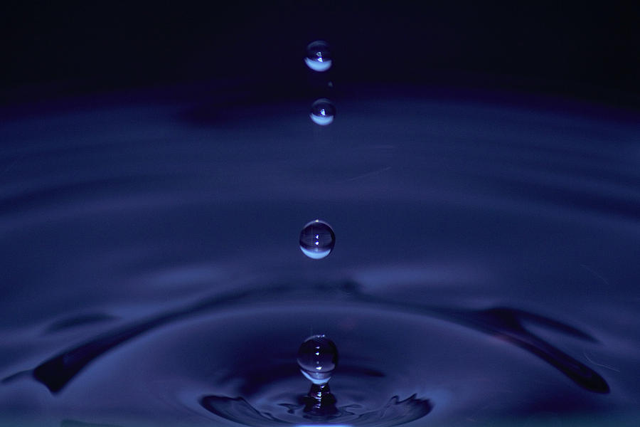 Dripping Photograph by Cj Avery | Fine Art America