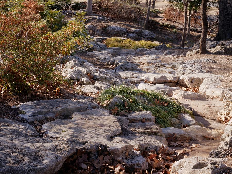 Dry Spring in Winter Photograph by John Straton - Fine Art America