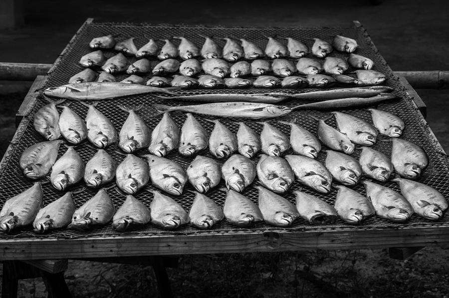 Drying Fish Photograph by Robert Edwards - Pixels