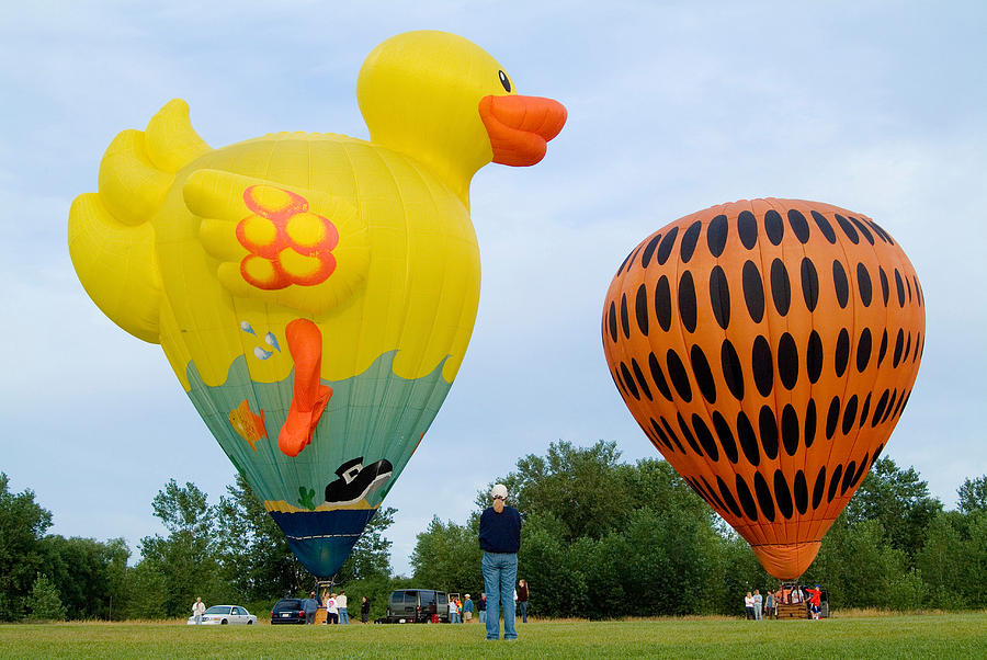 Duck looking at Bug Photograph by Devinder Sangha - Pixels