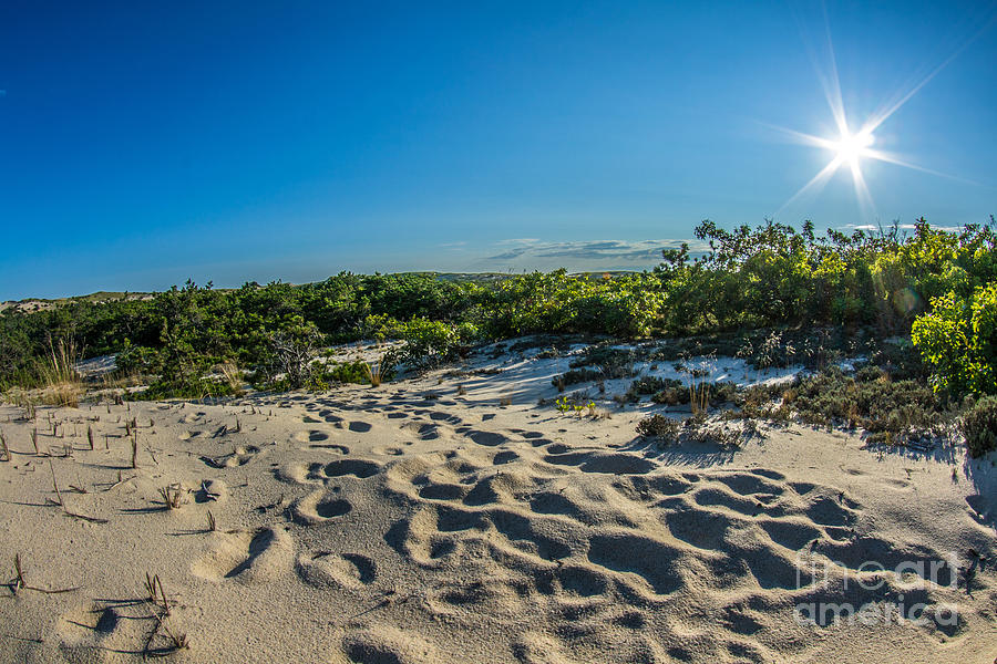 Dune Path Photograph by Ian Mack - Fine Art America