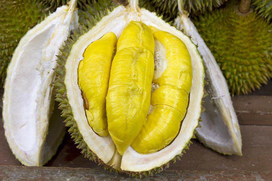 Durian Photograph by David Gn - Fine Art America