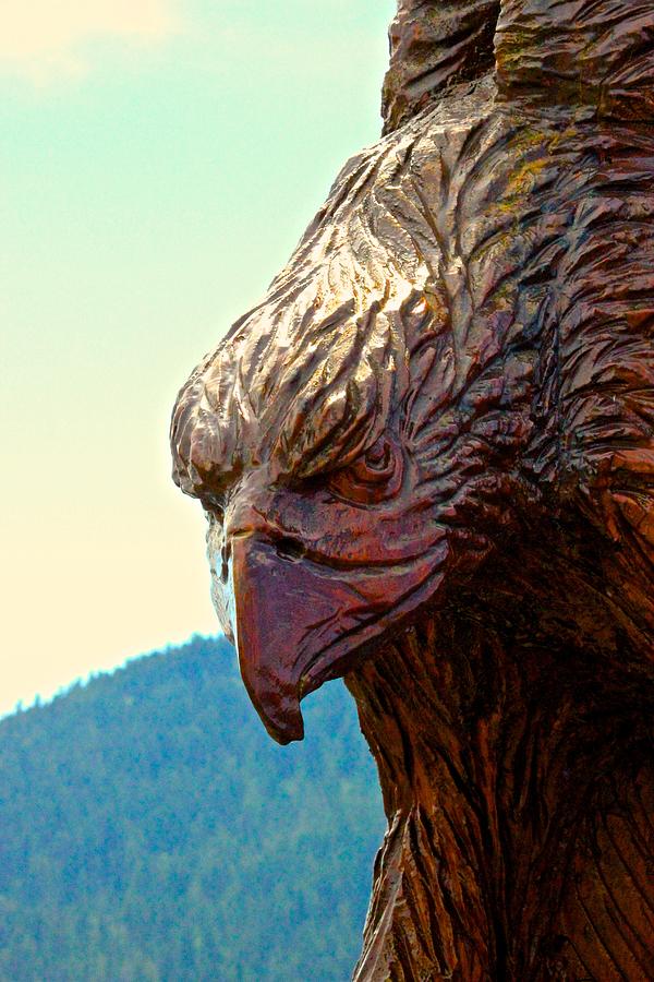 Eagle Photograph by Brian Sereda - Fine Art America