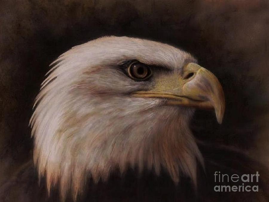 Eagle Study Painting by Daniel Smith - Fine Art America