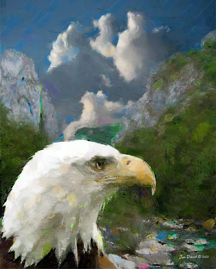 Eagle's View Digital Art by Jon David - Fine Art America