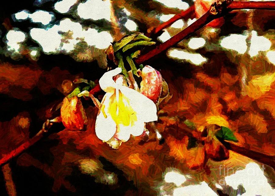 Early Bloomer Digital Art by Pamela Rivera - Fine Art America