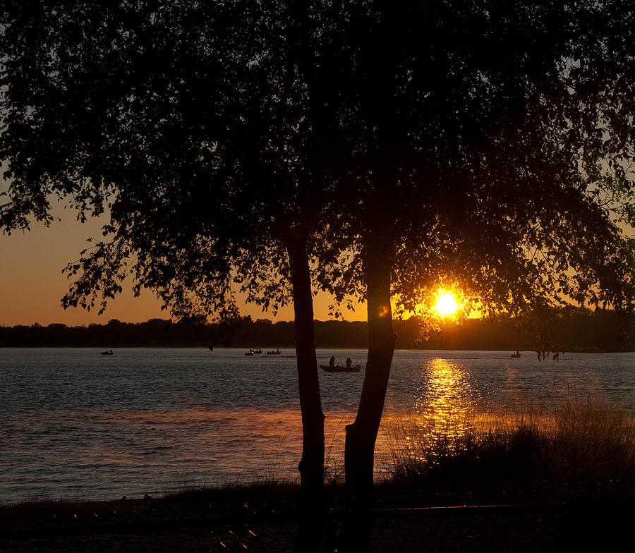 Early Risers Photograph by Dawn Dasharion - Fine Art America