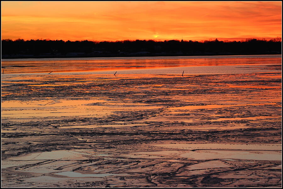 The Sunset of Early Winter Photograph by Dora Sofia Caputo - Fine Art ...