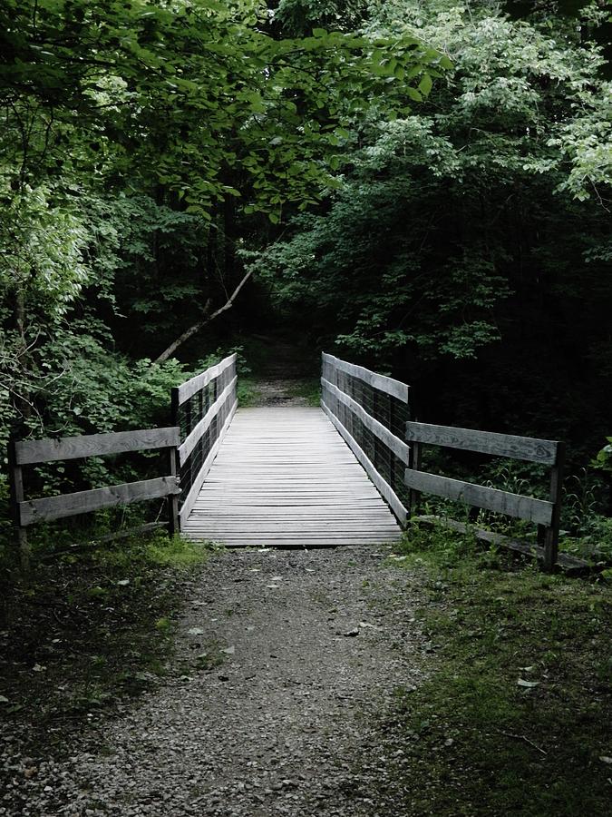 Echo Valley Park Photograph by Casey White - Fine Art America