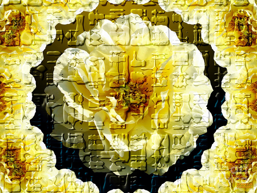 Egyptian Yellow Queen Photograph by Hanza Turgul | Fine Art America