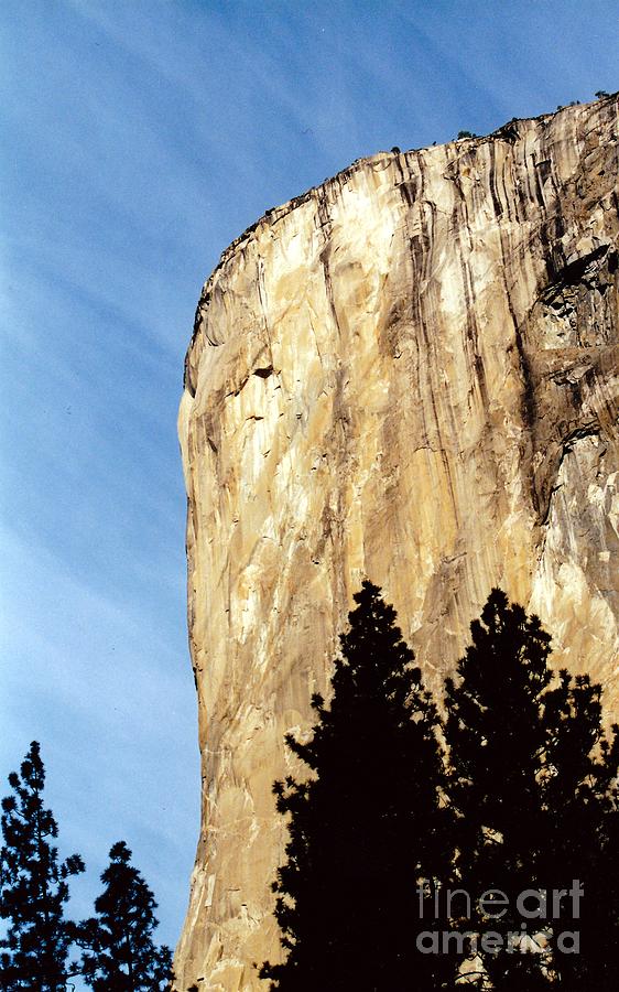 El Capitan Portrait Photograph by Christine Stack - Fine Art America