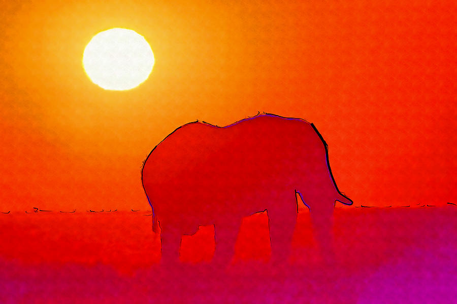 Ele Sunset Digital Art by David Pryce - Fine Art America