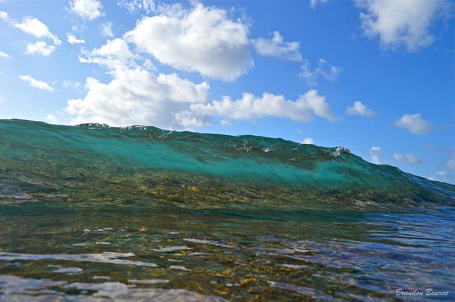 Elements Photograph by Brandon Bourne - Fine Art America