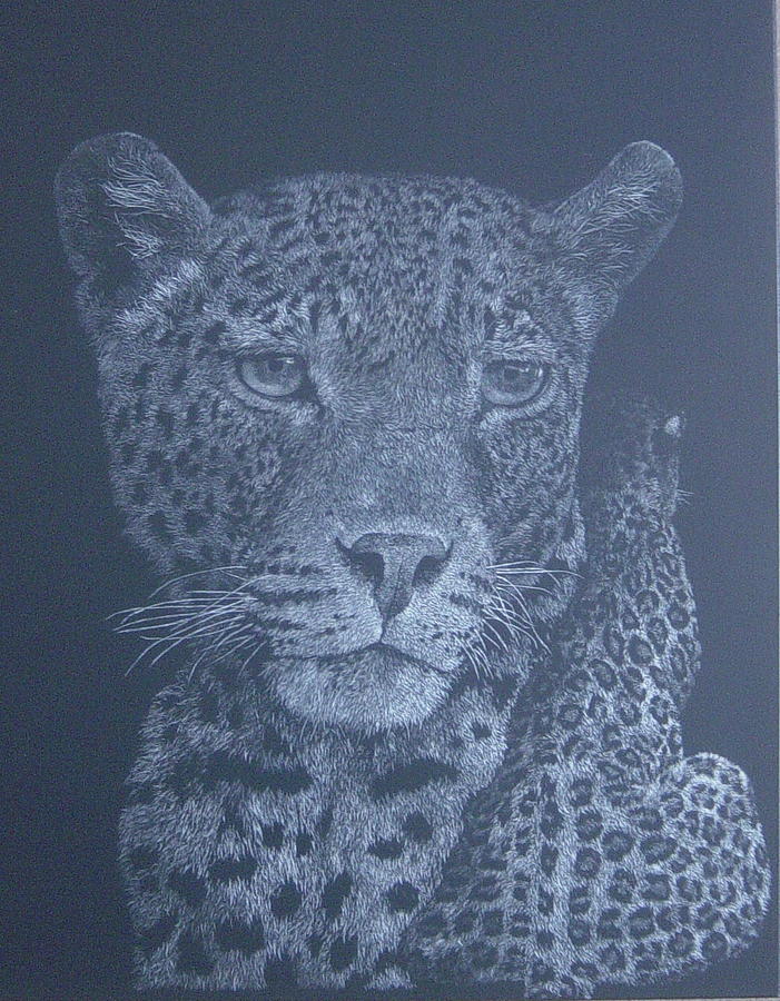 Elusive Drawing by Paula Almquist - Fine Art America