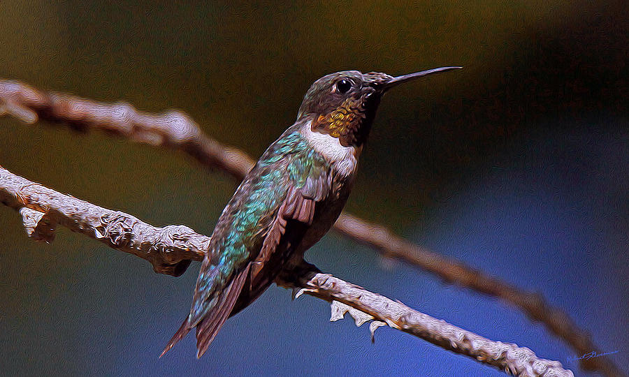 Emerald Lance Photograph by Harmonic Imagery - Fine Art America