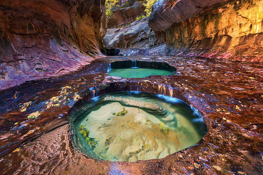Emerald Pools Photograph by Chris Moore - Fine Art America