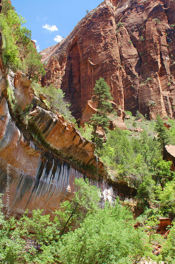 Emerald Pools trail Photograph by Paul Yoder - Pixels