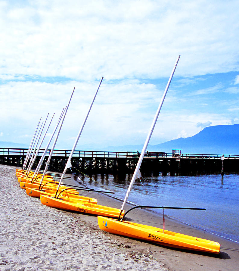 Empty Shells - Vertical Photograph by Robert Rodvik - Fine Art America