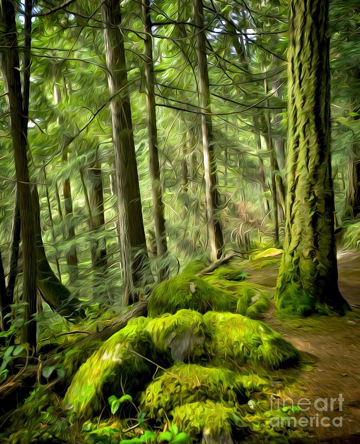 Enchanted Forest Digital Art by Ty Korte - Fine Art America