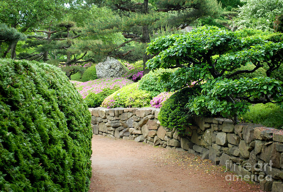 Enchanted walking path Digital Art by Glenn Morimoto - Pixels