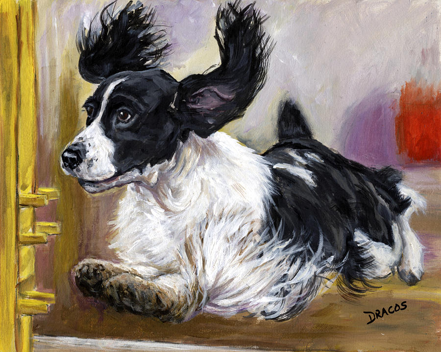English Springer Spaniel doing agility test Painting by Dottie Dracos ...