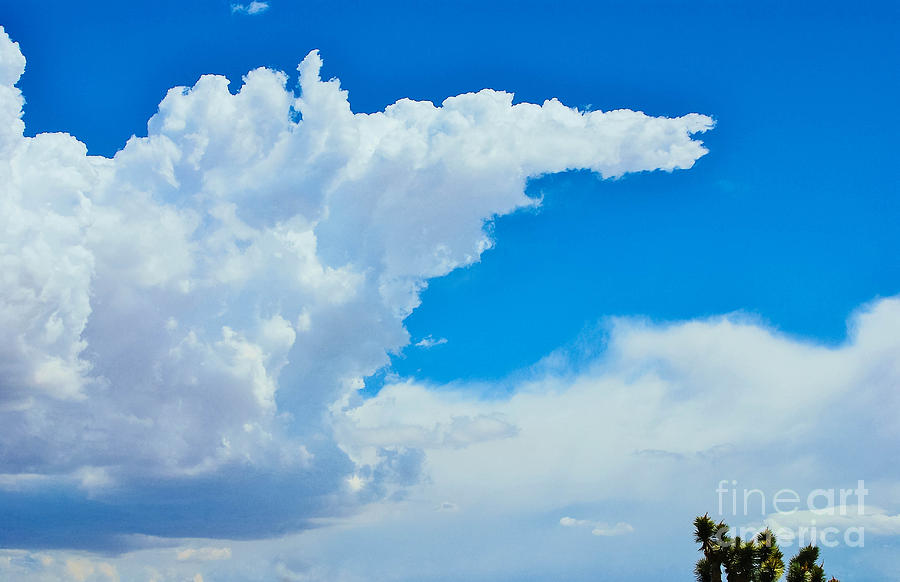 EnGuLFeD Photograph by Angela J Wright - Fine Art America