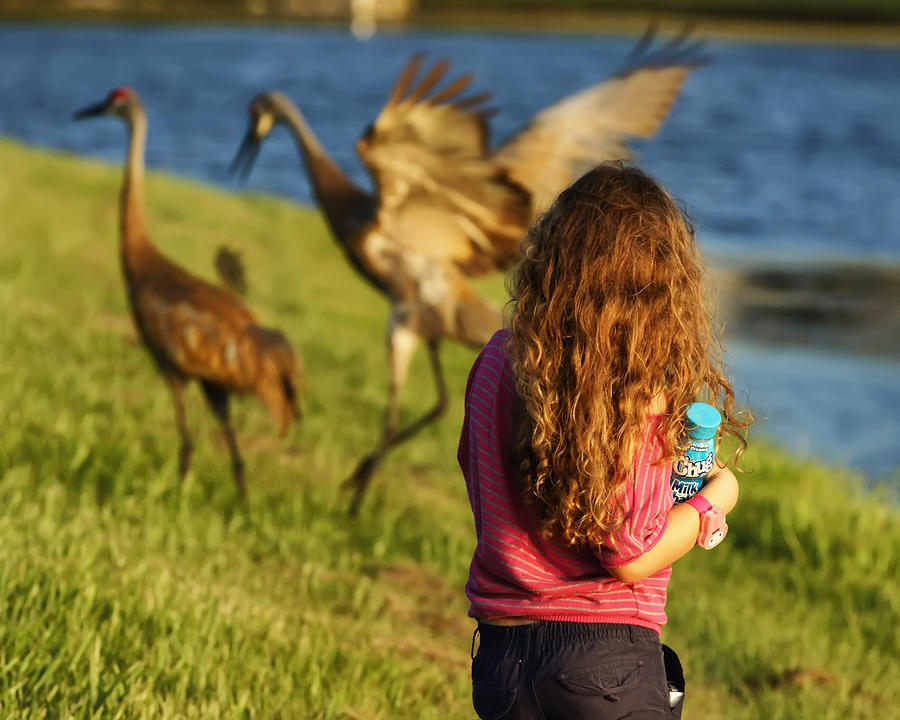 Entertained Photograph by Dan Dennison - Fine Art America