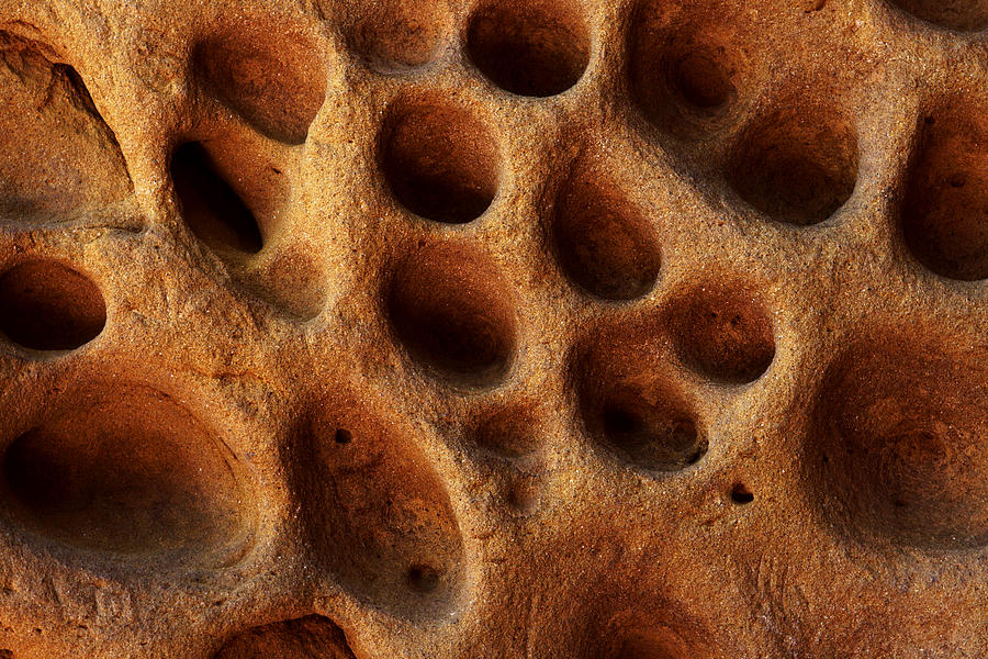 Eroded Photograph by William Mott - Fine Art America