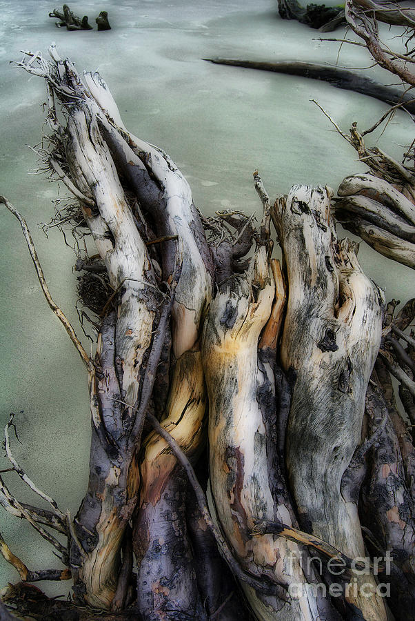 Eroding Beauty Photograph by Skip Willits | Fine Art America