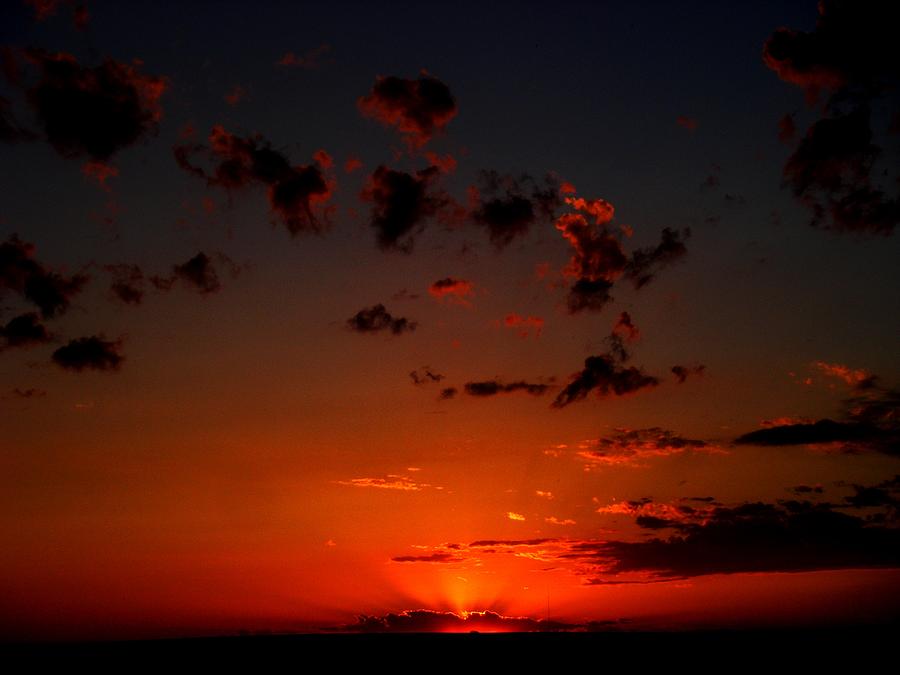 Evening Glory Photograph by Timothy Johns - Fine Art America