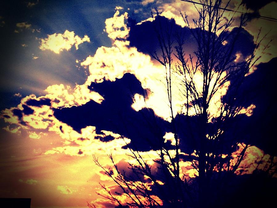 Evening light Photograph by Amanda Roberts - Fine Art America