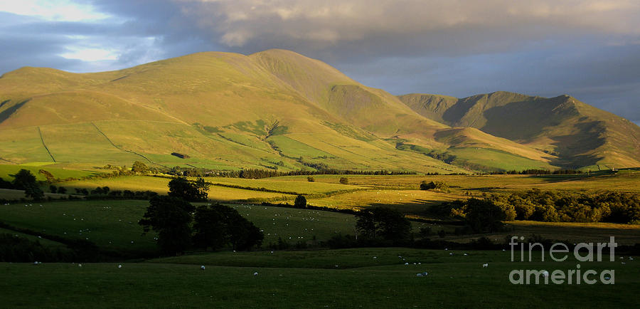 Evening Shadows Photograph by Malcolm Suttle | Fine Art America