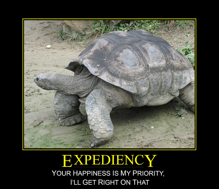 Expediency Photograph by John Clark - Pixels