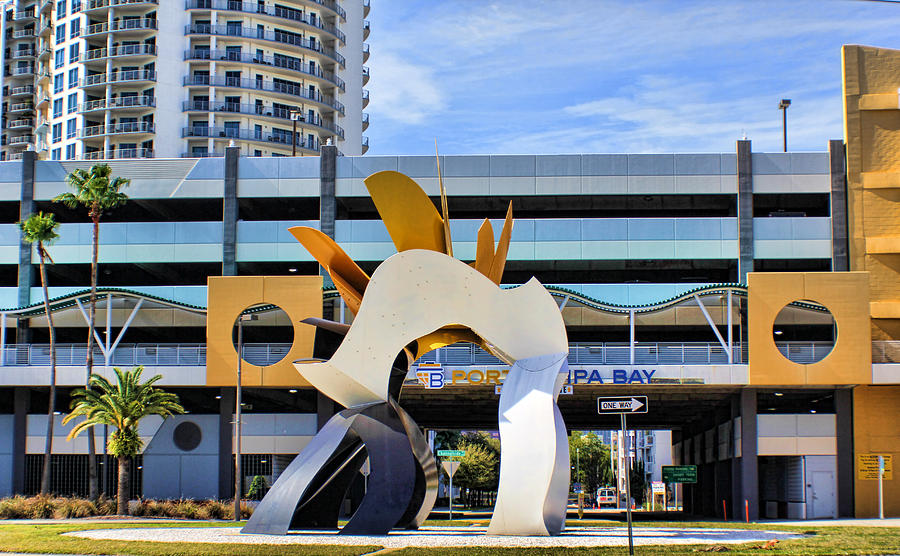 Exploding Chicken Photograph by Robert Palmeri - Fine Art America