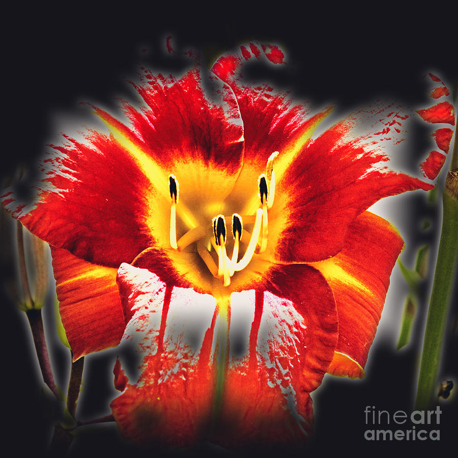 Exploding Color Photograph by Karl Voss | Fine Art America