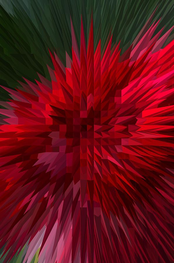 Exploding Rose Photograph by Michael Moriarty | Fine Art America